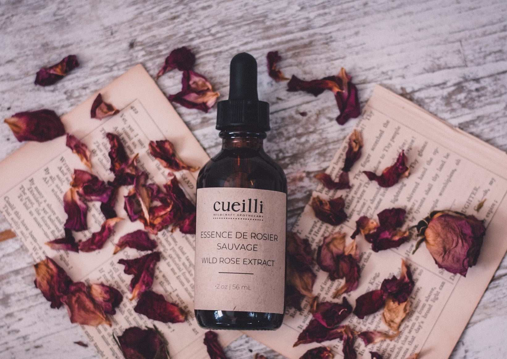 Wild Rose Extract – cueilli